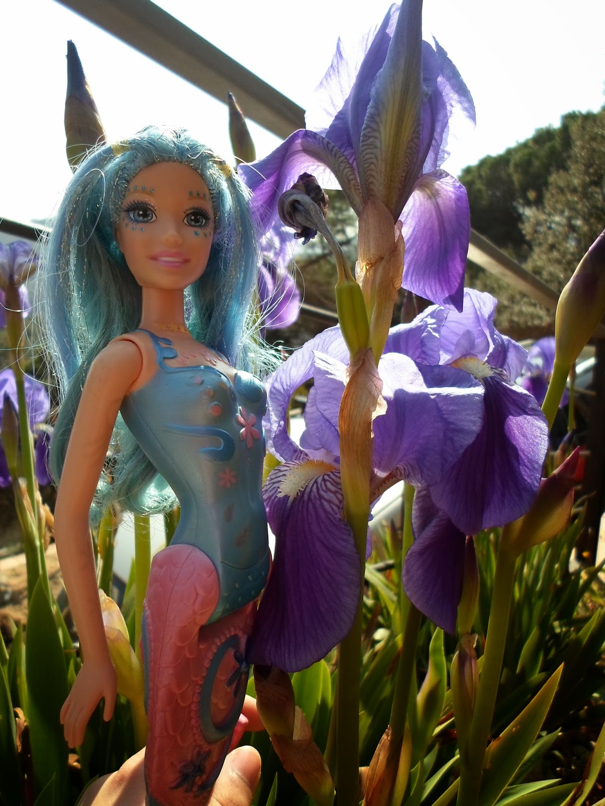 El rincón de mis muñecas: Barbie Nori de la película:Barbie Mermaidia