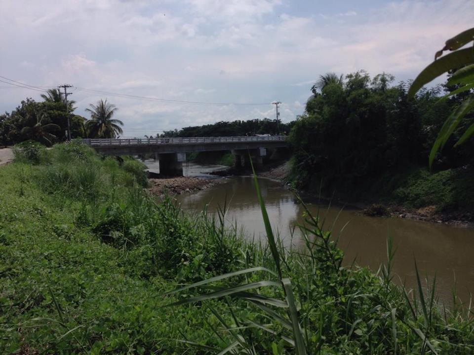 P'NAN NEWS: BOTCH BRIDGE CONSTRUCTION