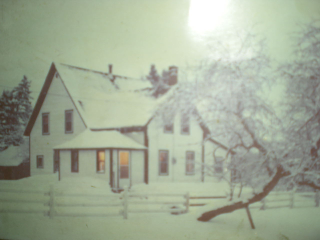 Jeannie Prinsen: "And since we've no place to go ... "