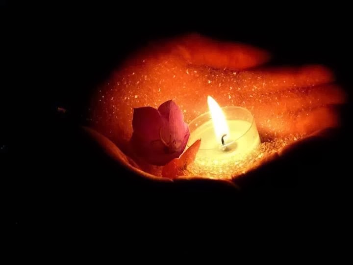 Lebensretter für Hannah gesucht!: Tagebuch / Bilder