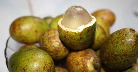 Matoa fruit Delicious and Rich Benefits ~ Healty Fruit, Leaves and Herbal