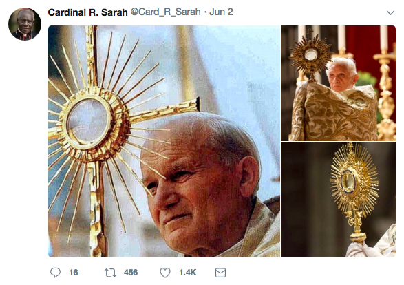 Mahound's Paradise: Cardinal Sarah's Image Crop