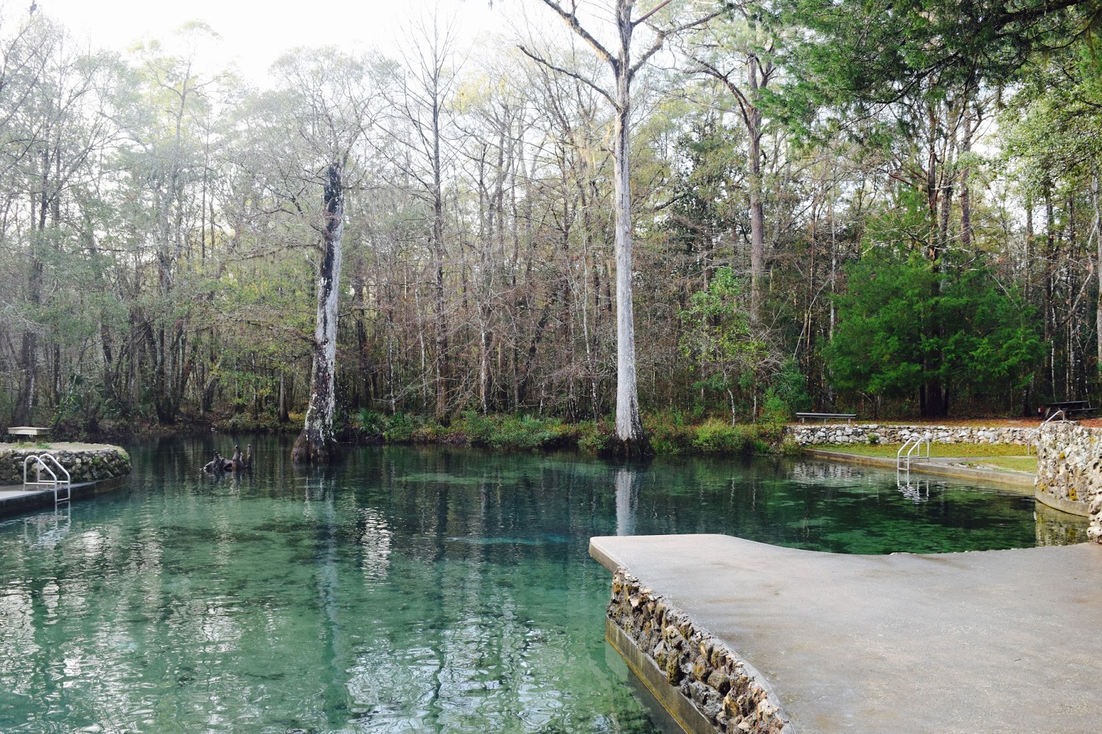 Shanna's Adventures: Ponce De Leon Springs State Park