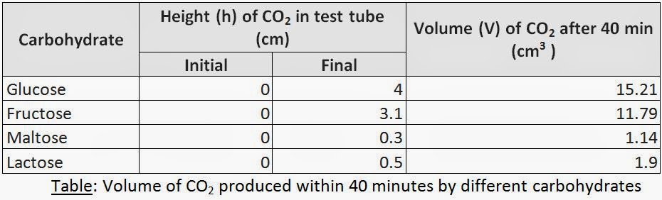 Tun Tun Oo Zanniat Blog Page: SBI4U: Cellular Respiration (Fermentation ...