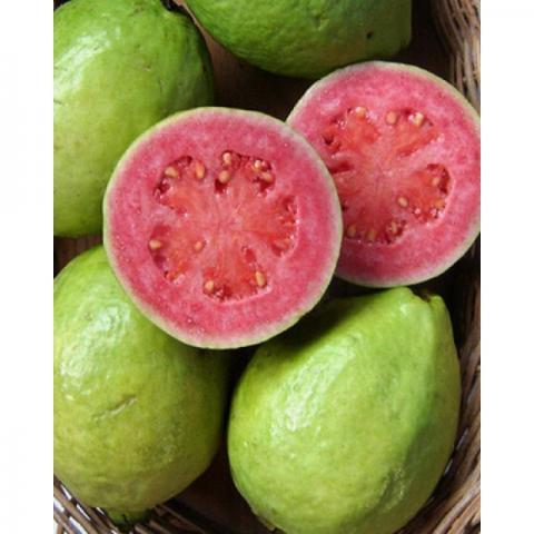 MAISHA NA MAFANIKIO: HAYA MATUNDA NI MATAMU SANA....YANAITWA MAPERA