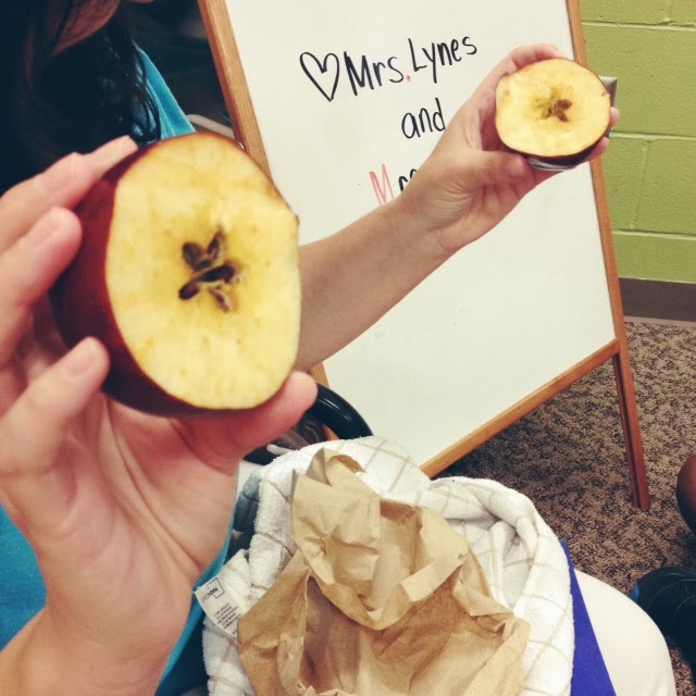 Simply Second Grade: Apple Unit Photo Dump {Part 1} with a FREEBIE!