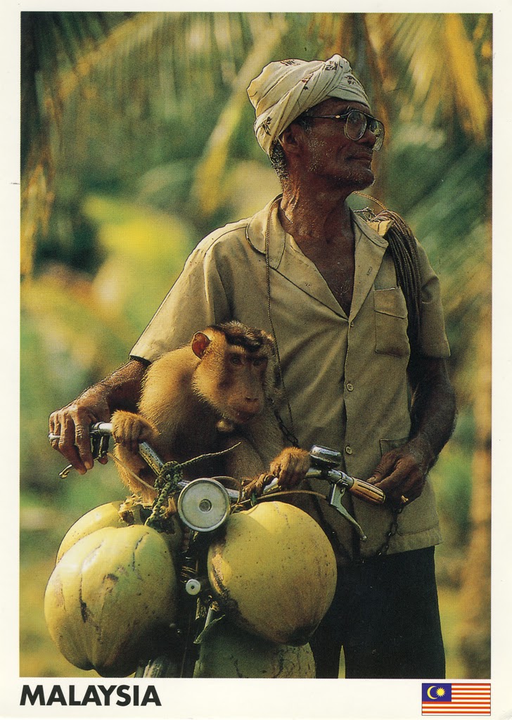 World on Postcards: Malaysia / Malezja