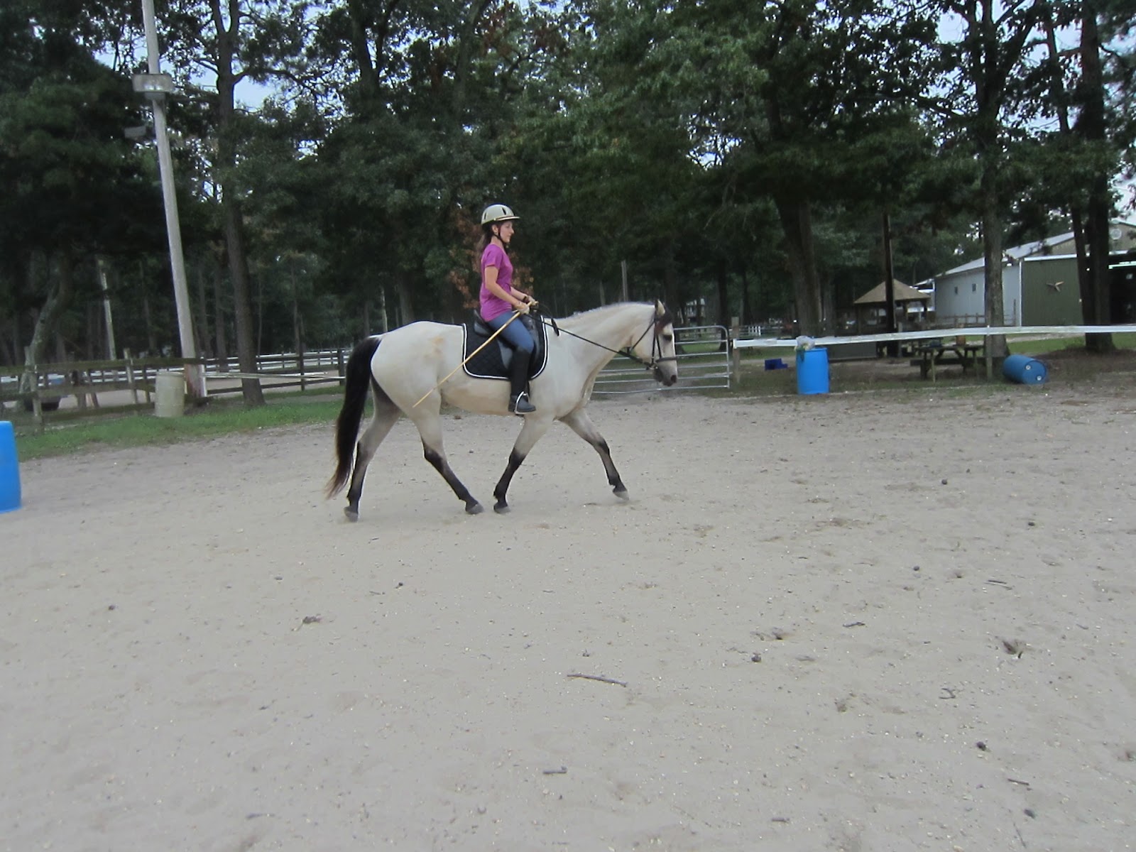 Memoirs of a Horse Girl: Riding Reflection: Using the Inside Rein