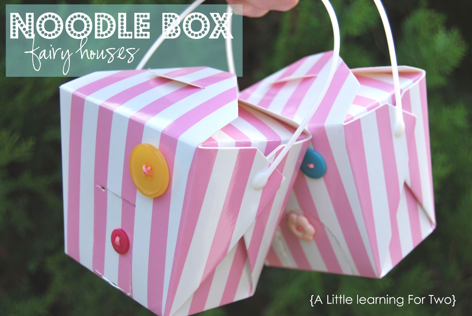 A Little Learning For Two: Noodle Box Fairy Houses
