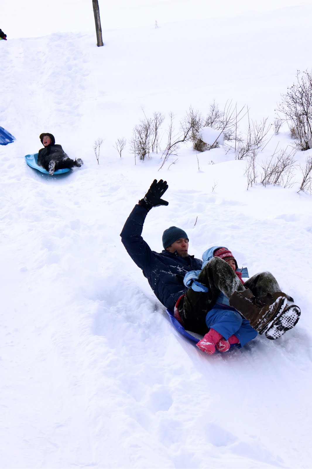 Master Ridley of the Great Northwest