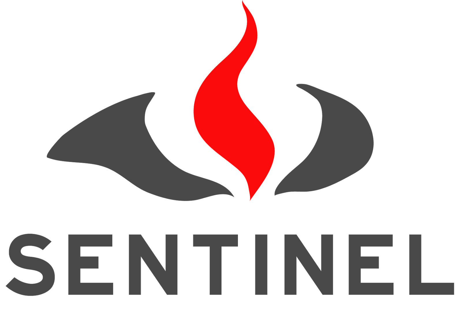 ENVOY - DESIGN FOUNDRY: Sentinel branding