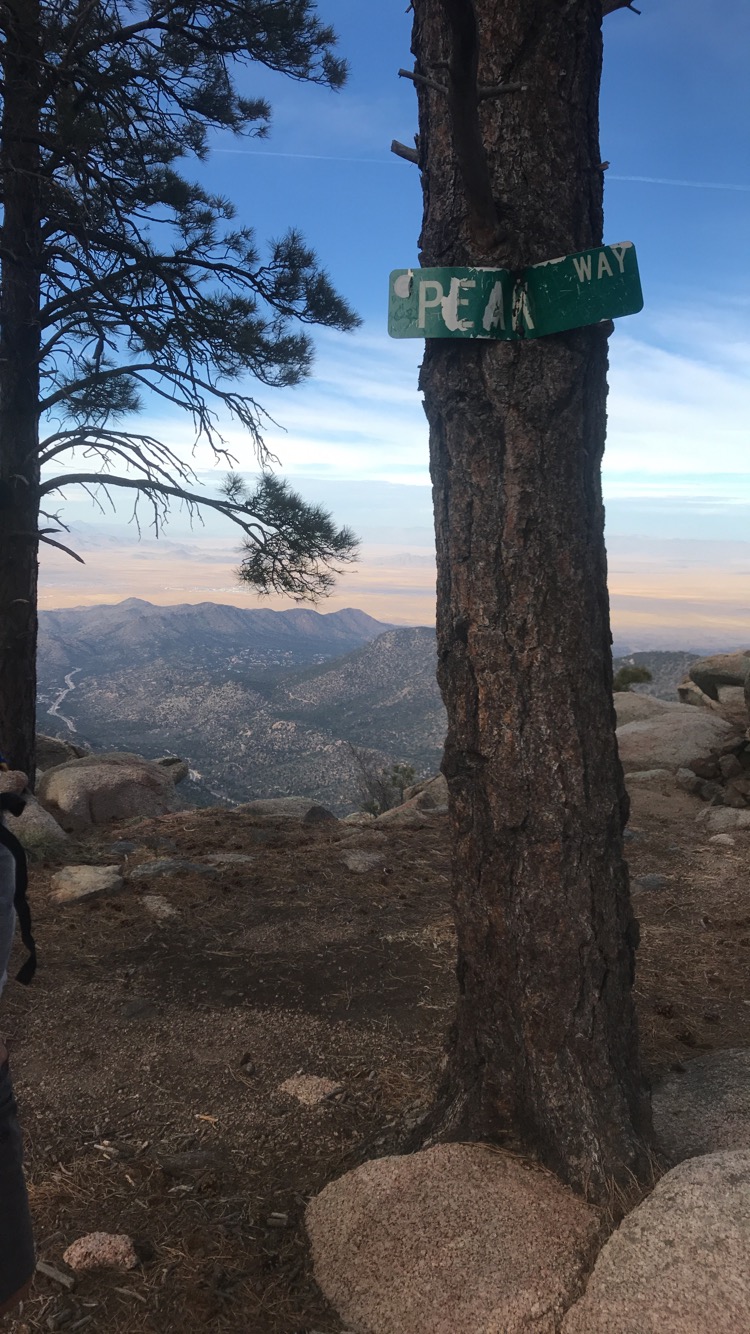 Single Vegas Girl: Hiking Hualapai Mountains