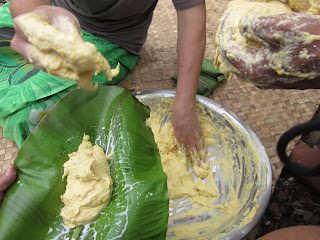 Words from the South Pacific: Faausi