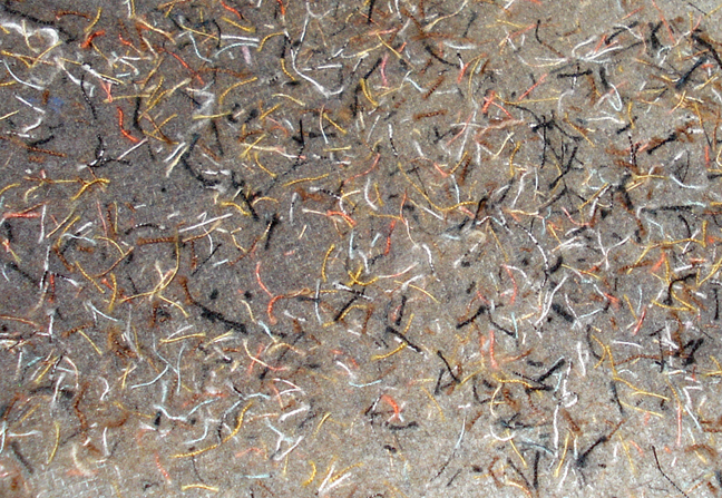 CharmPacksPlus Blog: Dryer Lint Art