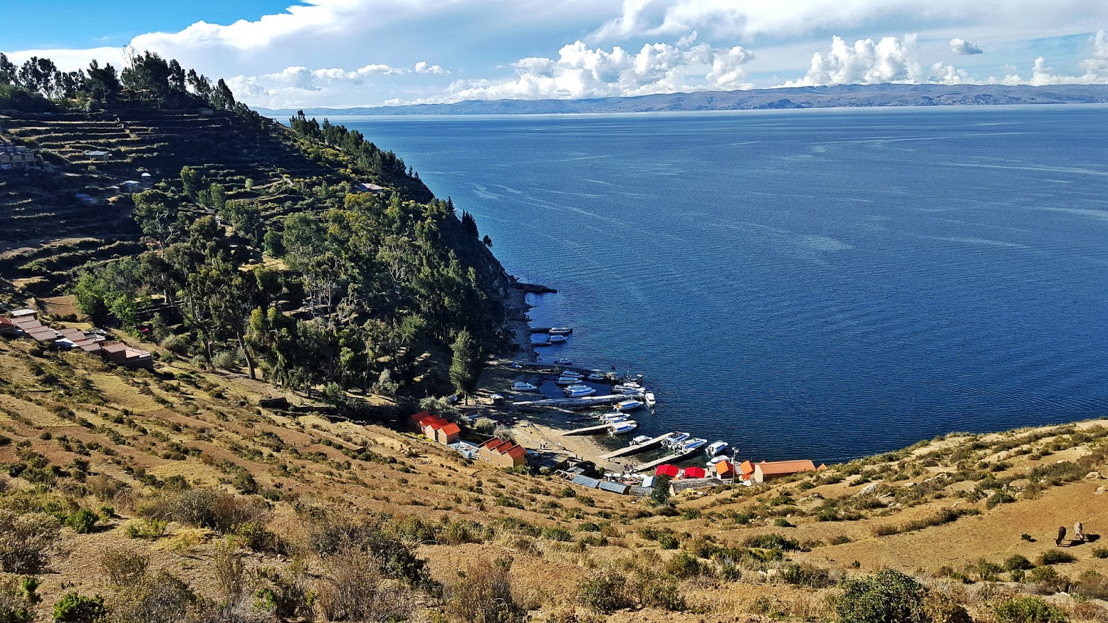 ISLA DEL SOL (ISLAND OF THE SUN)- BOLIVIA - Gallech