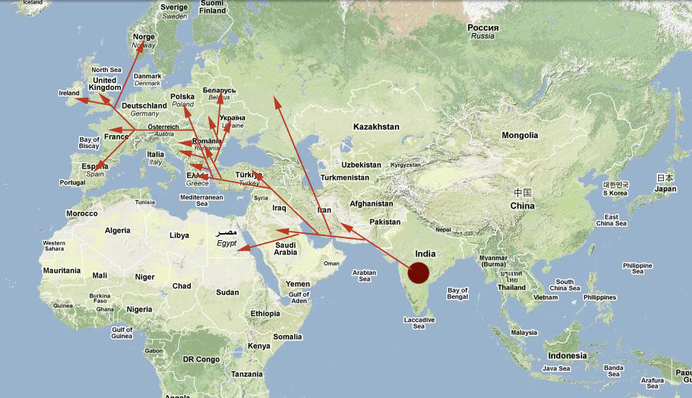 Humerus Revelations of the Naked Ape: The Rich Culture & Tragic History ...