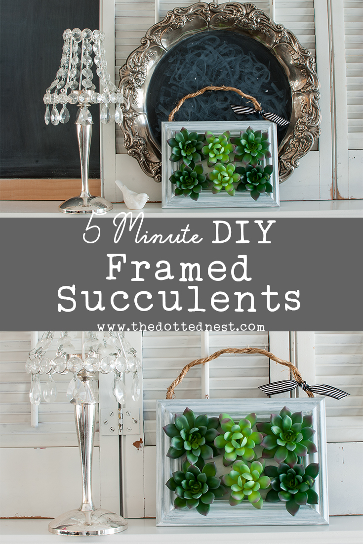5 Minute DIY Framed Succulents - The Dotted Nest