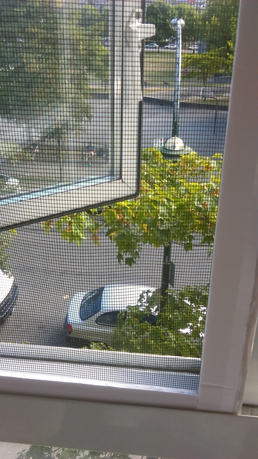 Life Journey of Vivian: [2015 DIY] Window Screen