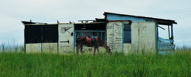 Go with Henry: The outback of South Africa - Libode in the Transkei