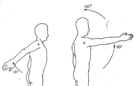 Biomecanica: Movimientos de la cintura escapular