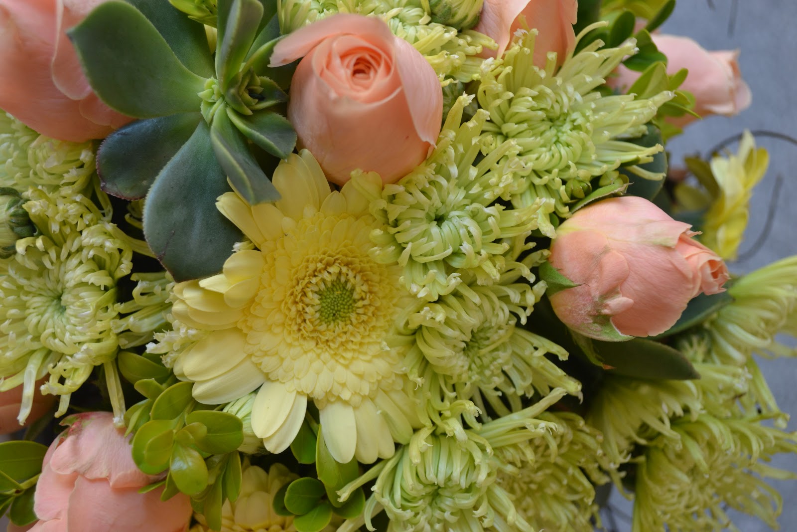 French Blue and Peachy Pink: THURSDAY FLOWERS ......Peachy Pink Roses