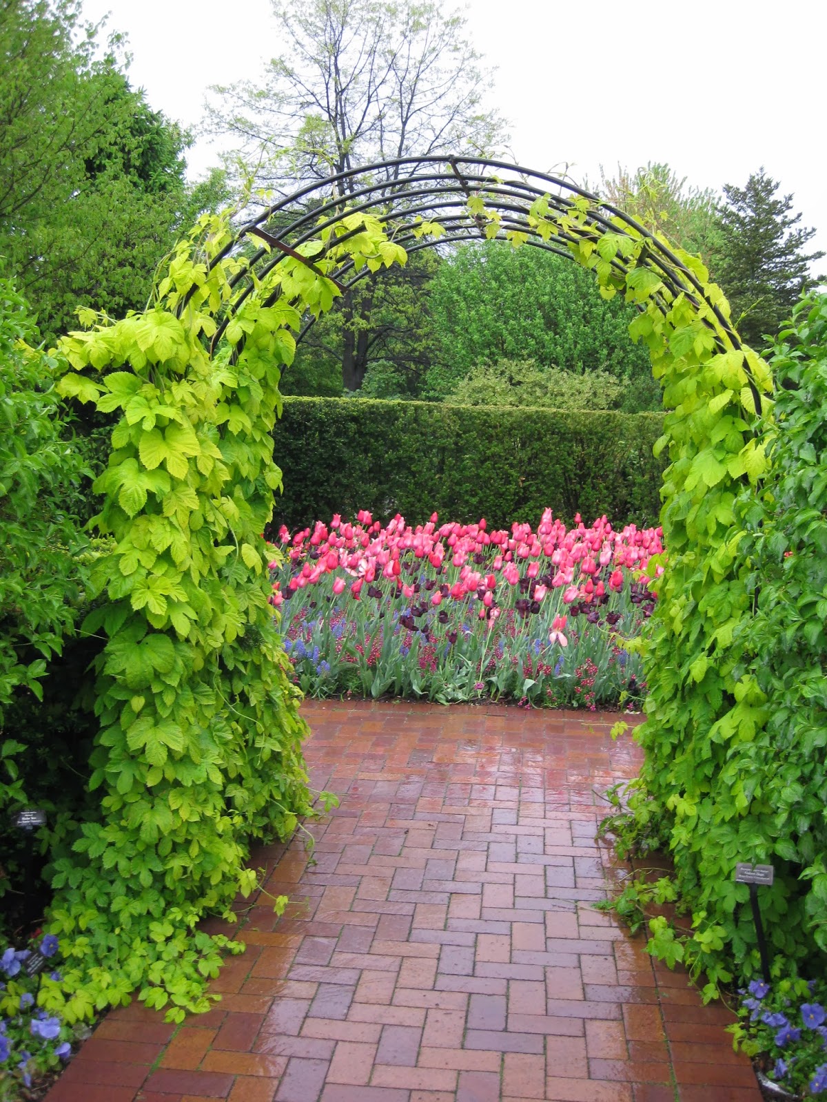 Rotary Botanical Gardens - Hort Blog: Framed Garden Views