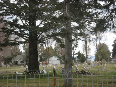 Shell's Photo Album: Arimo, Idaho