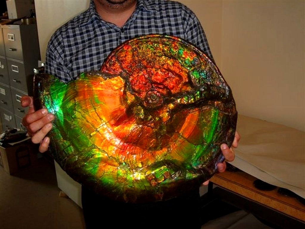 Ammolite: Gemstone with a Spectacular Flash of Iridescent Colors!