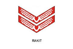 GerakanKepanduan: Penggalang Rakit