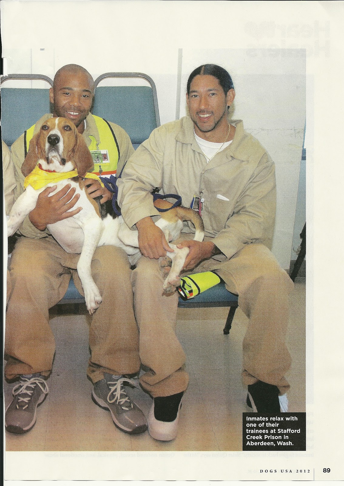 PRISON DOG PROGRAMS ~ BRIDGES and PATHWAYS of COURAGE: HEART HEALERS ...