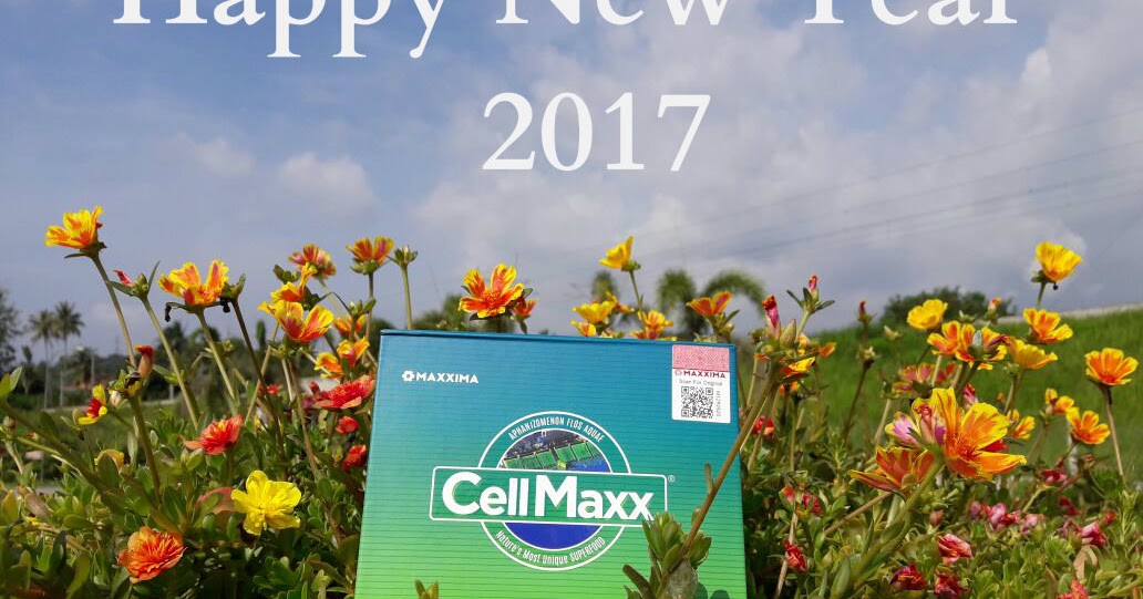 Maxxima Nutrition: Cellmaxx Dan Kegiatan Tahun Baru 2017