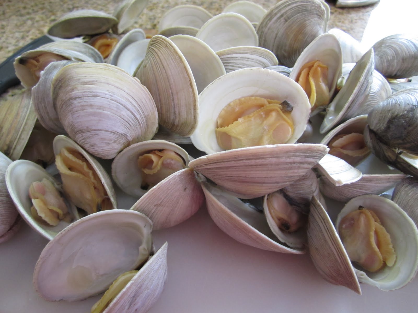 The Norwood Nest: A Spoonful of the Sea