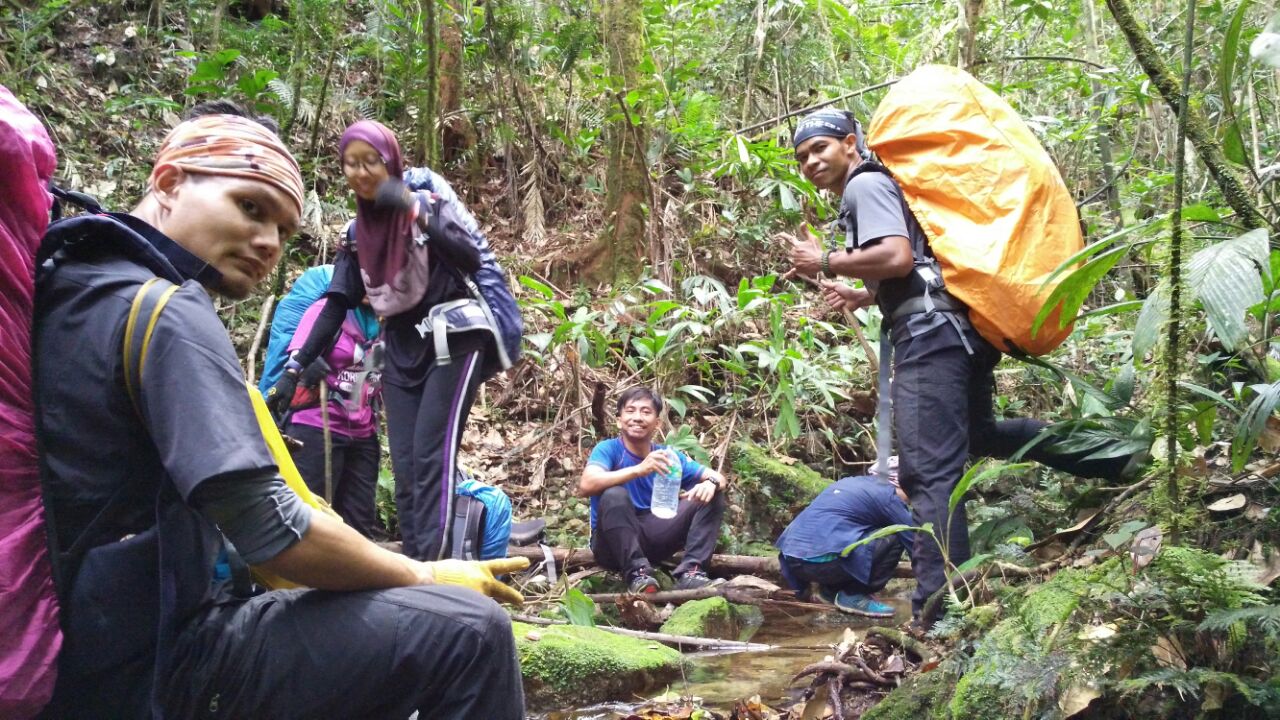 Hiking Log : Trans Tikus Makmal (Pine tree - Twin Peak - Semangkuk ...