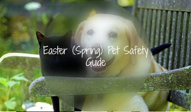 Easter (Spring) Pet Safety Guide - All Things Pin