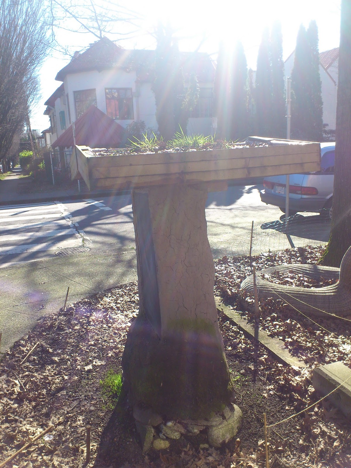 Vancouver Voyager: An Unappreciated Politician