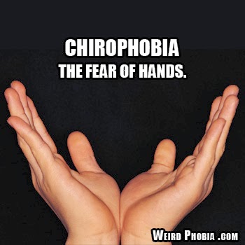 Collections: November 2013