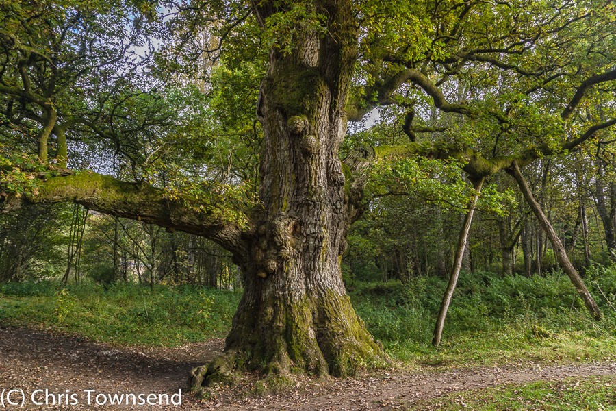 Chris Townsend Outdoors: A Few Days in Dunkeld