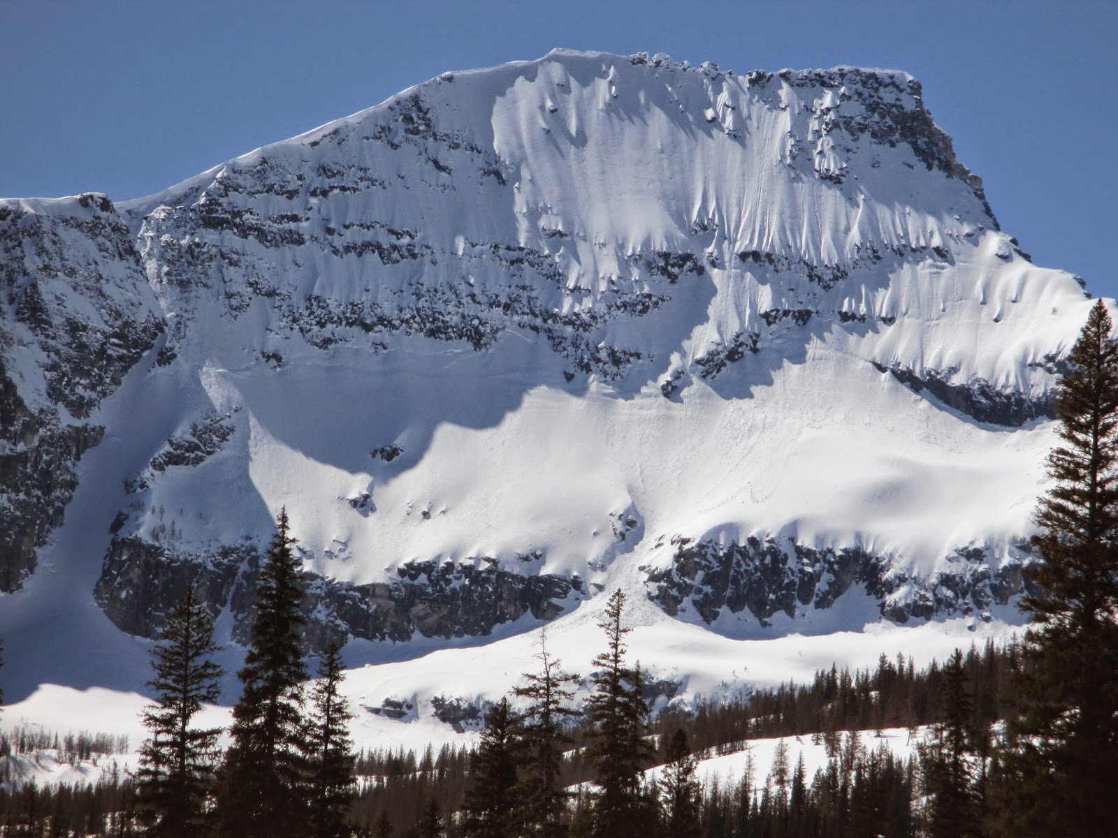 Montana Skiing: El Captain, Bitterroot Steeps