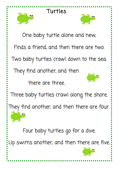 The Very Busy Kindergarten: Turtle