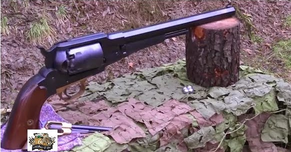 Armi usate web portal: La pistola più grande del mondo....