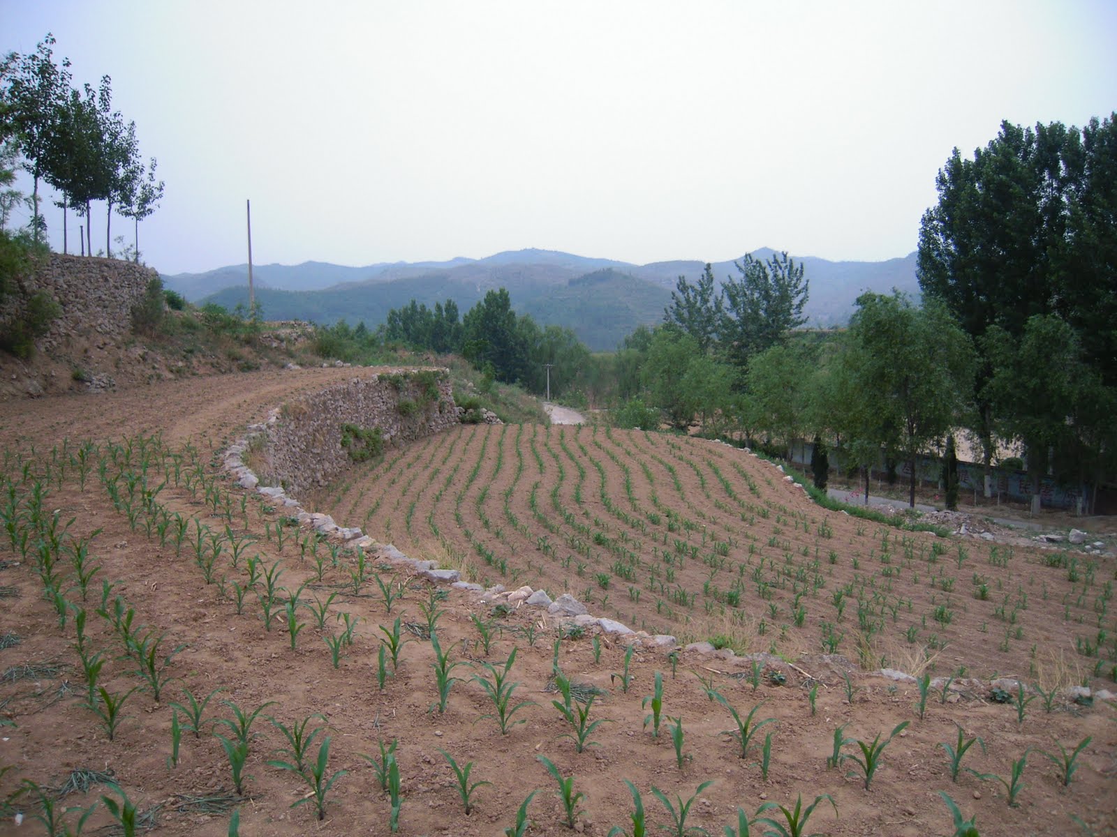 Trip around Asia: La Chine rurale