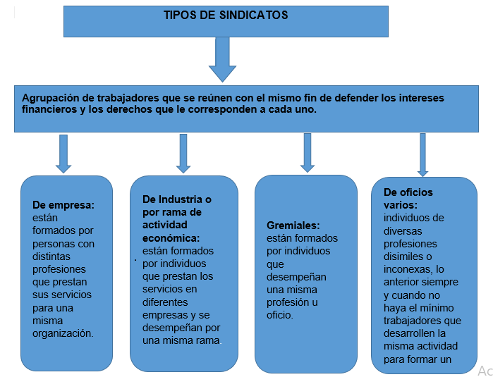 TIPOS DE SINDICATOS