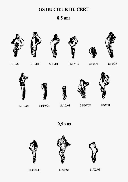 Les maîtres fous: Il y a un os dans le cœur du cerf et on lui prête le ...