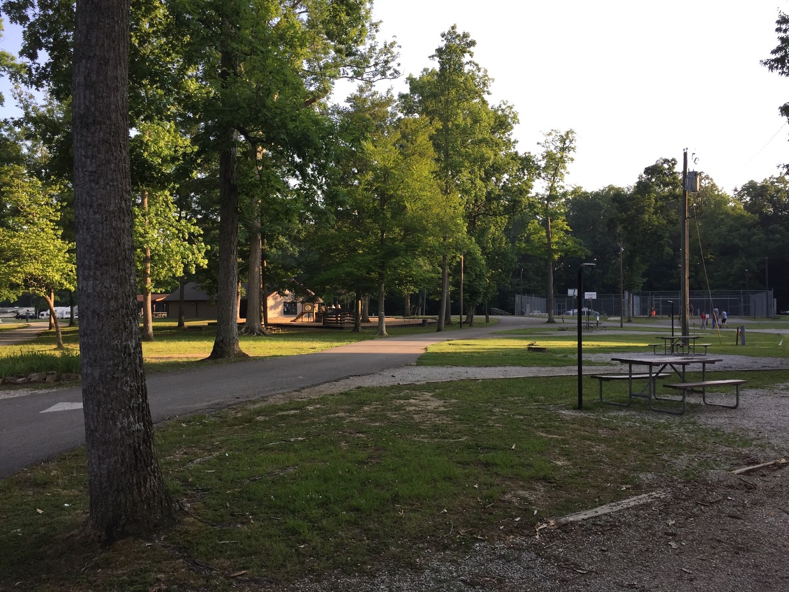 Cozy Rosie: Levi Jackson Wilderness State Park - Kentucky