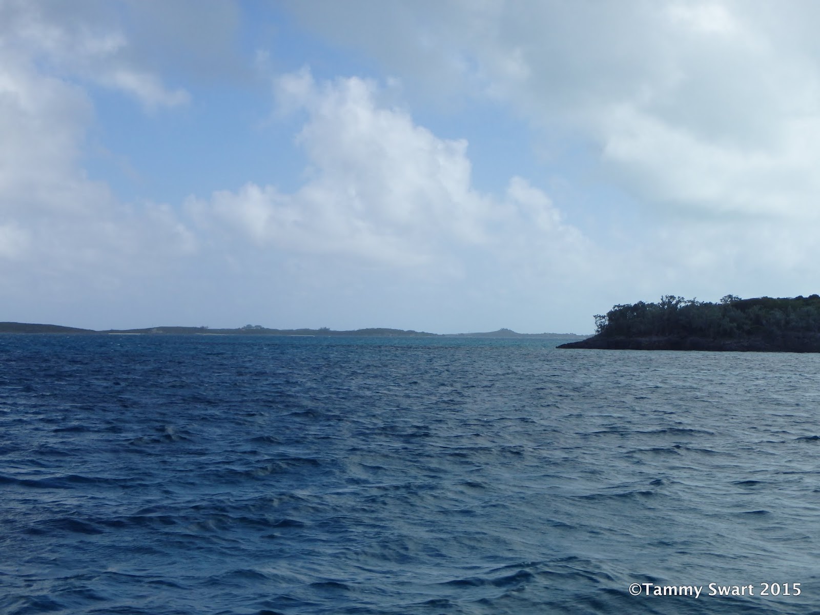 Things we did today...: December 2015