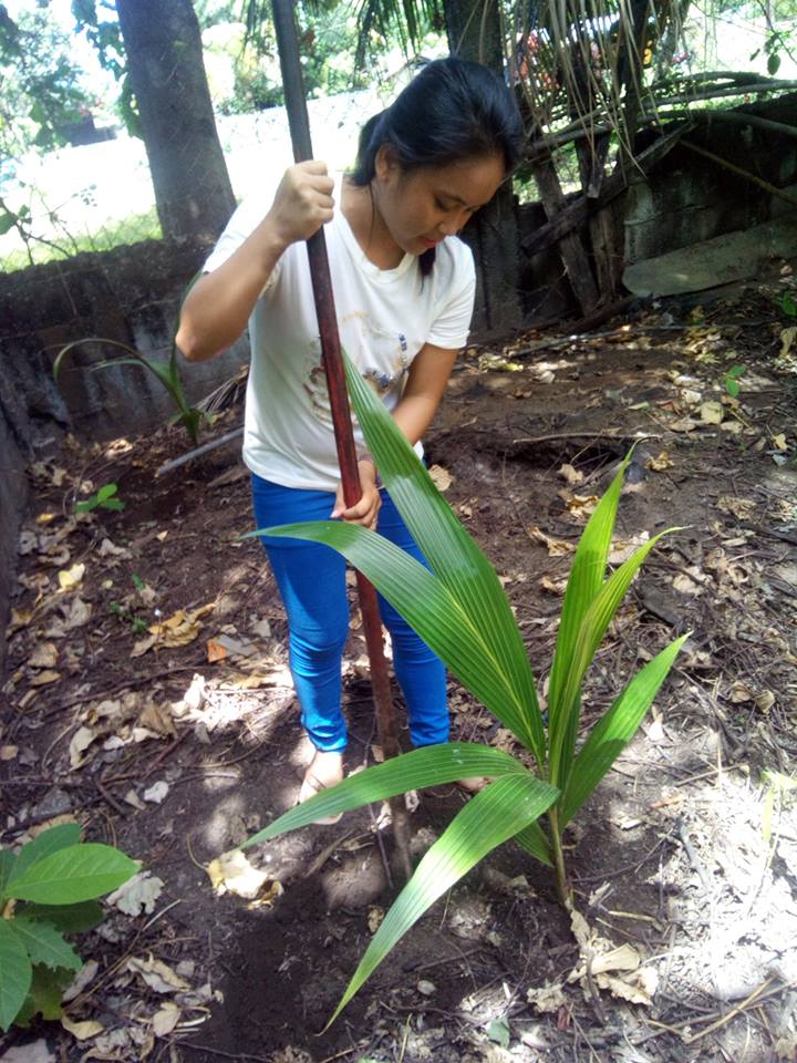 Mag Tree Planting Din Kayo ~ BAHAY KUBO