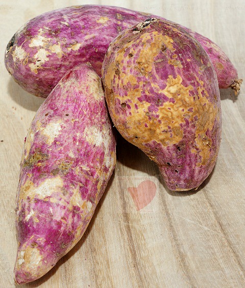 Eat To Your Heart's Content : Deliriously Delicious Dining Discoveries ...