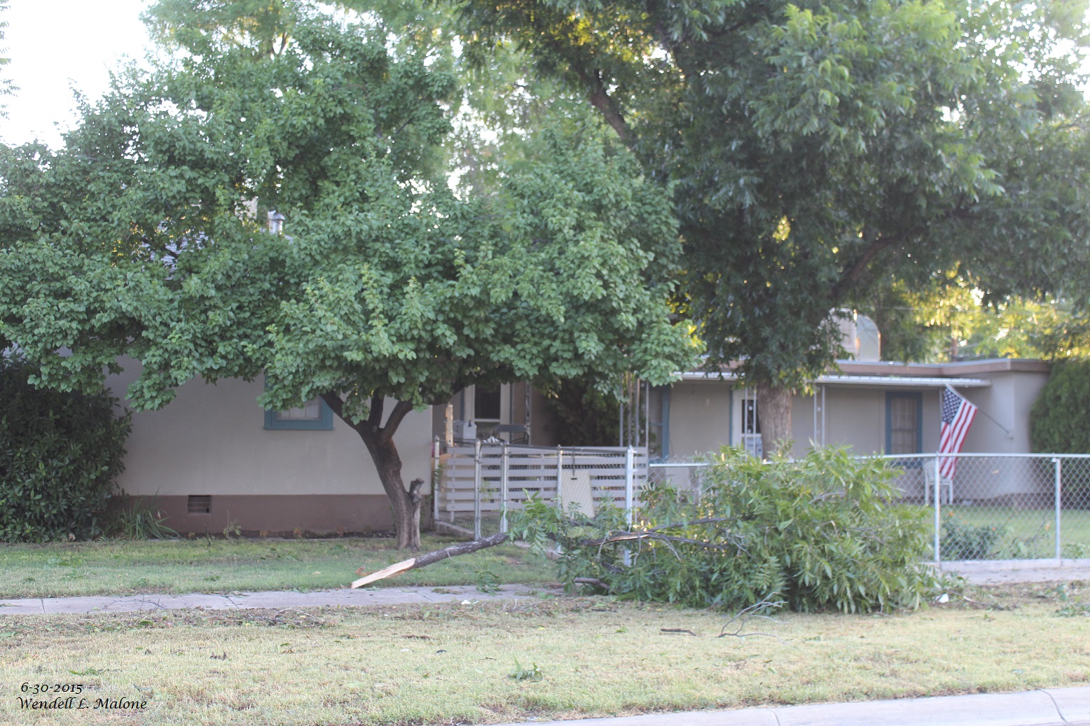 Wet Microburst Causes Tree Damage In Carlsbad, NM Monday 6-29-2015.