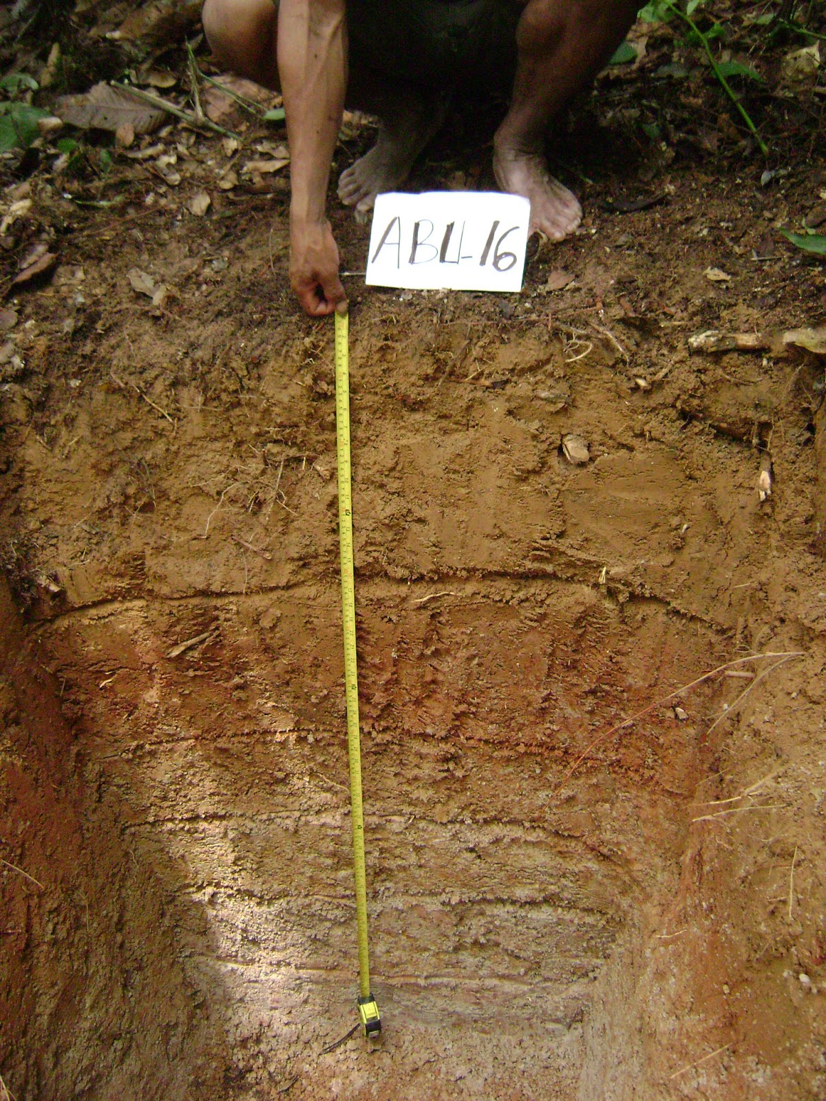 Ciencia del Suelo: Como Hacer un Muestreo de Suelo?