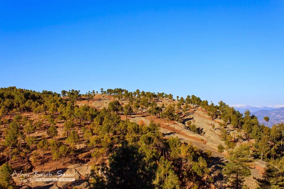 ExploreEPakistan: Panjpir Rocks, Kotli Sattian